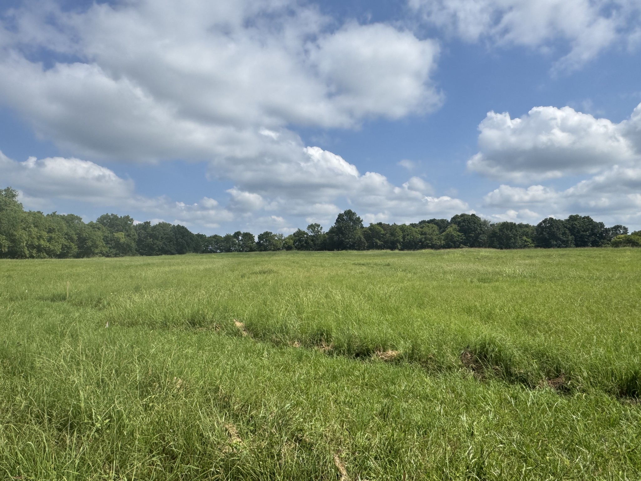 0 Patrick Street, Lebanon, TN 37087 | 2971311 | Benchmark Realty, LLC